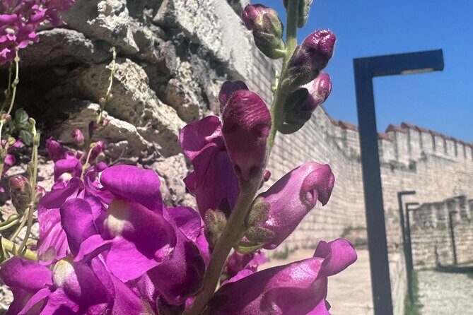 Byzantion Walk Path and City Walls of Istanbul - Analyzing the Value