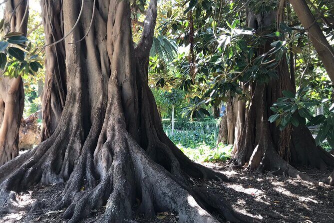 Cabecera Park Private Segway Tour - Final Thoughts