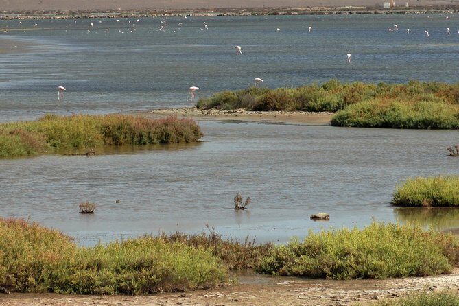 Cabo de Gata Natural Park from Roquetas, Aguadulce & Almeria - In-Depth Look at the Itinerary