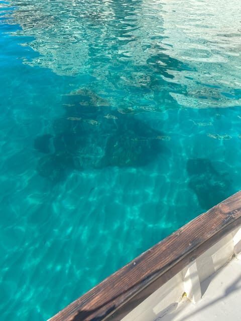 Cagliari: Classic Boat tour along the gulf with tasting. - The Value in the Details