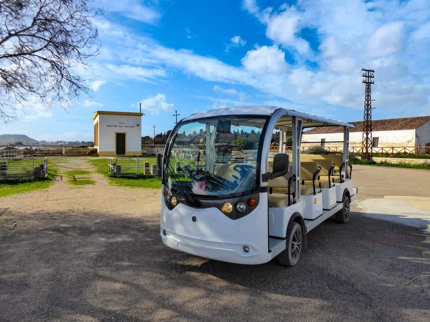 Cagliari: EcoSafari Flamingos Tour in Molentargius Park - Final Thoughts