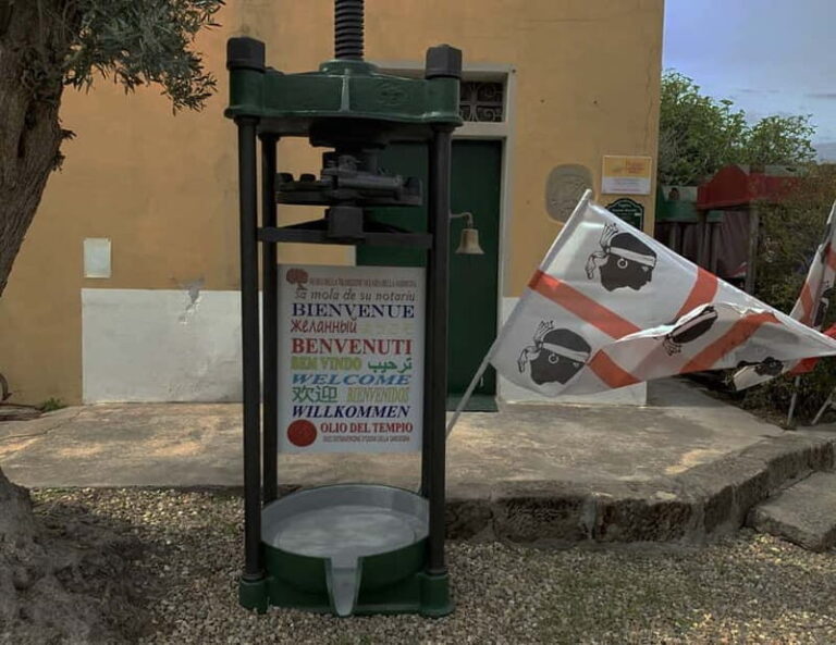 Cagliari Olive Oil Farm & Tasting (Since 1600, 20 Min Away) - A Deep Dive into the Olive Oil Experience