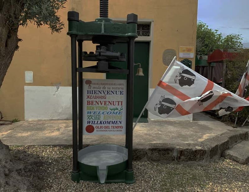 Cagliari Olive Oil Farm & Tasting (Since 1600, 20 Min Away) - A Deep Dive into the Olive Oil Experience