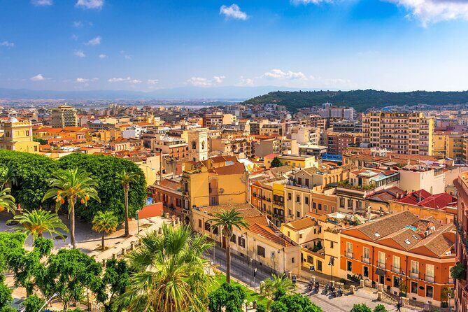 Cagliari : Private Custom Walking Tour with Local Guide - Who Would Love This Tour?
