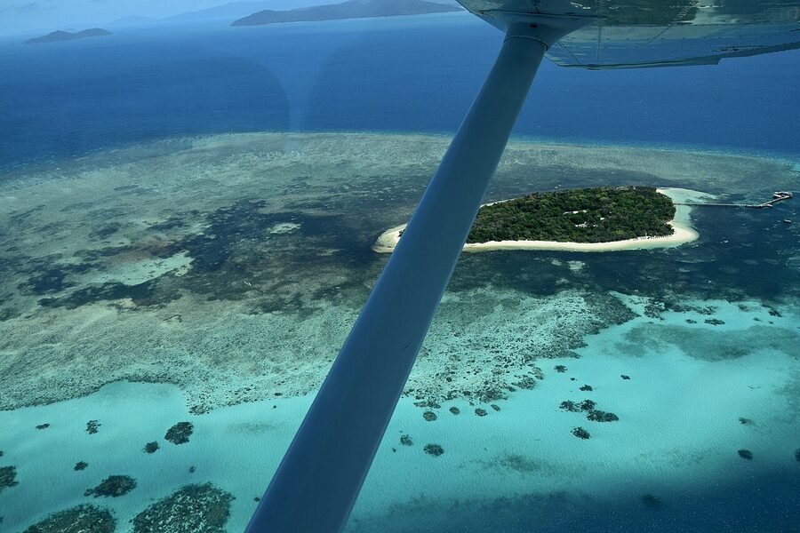 Coral garden under a Cairns Great Barrier Reef pontoon