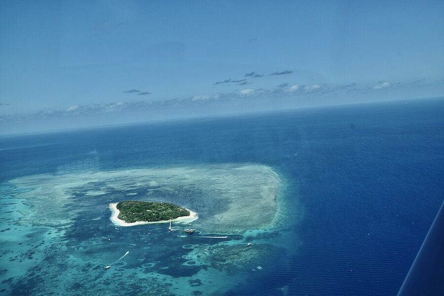 School of fish at the Great Barrier Reef Cairns