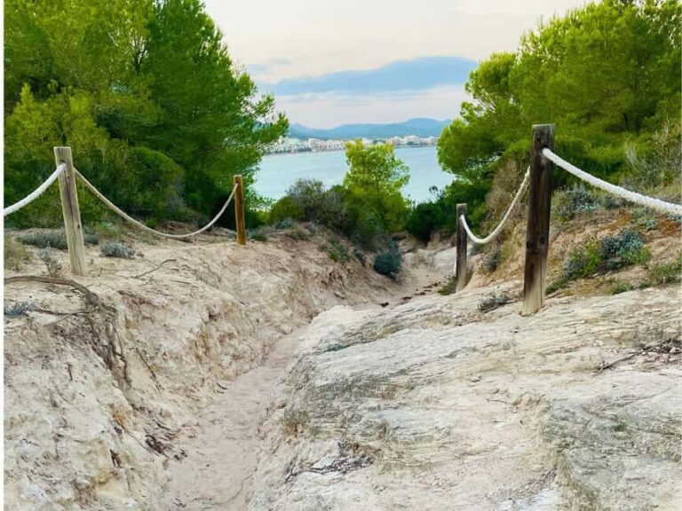 Cala Millor: real treasure hunt in natural reserve, fun walk - What Reviewers Say