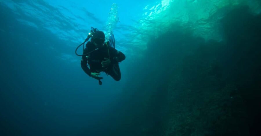 Calanques National Park Snorkel and Scuba Dive - The Experience: What Makes It Special?