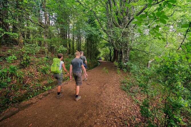 Caldeirão Verde Levadas Walk in Madeira - The Bottom Line