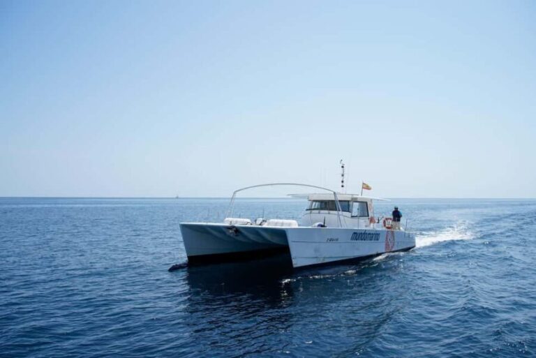 Calpe: Motor catamaran with a swim stop and optional lunch - The Swim Stop: A Refreshing Break in the Mediterranean