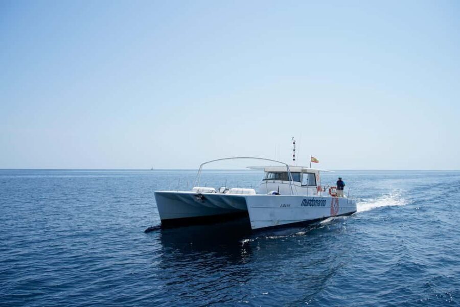 Calpe: Motor catamaran with a swim stop and optional lunch - The Swim Stop: A Refreshing Break in the Mediterranean