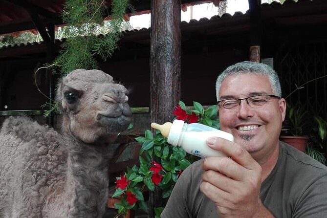 Camel Ride in Fataga with Tapas and drinks - Final Thoughts