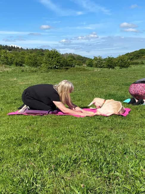 Canterbury: Yoga with Goats and Sheep - Meeting Point and Practical Details