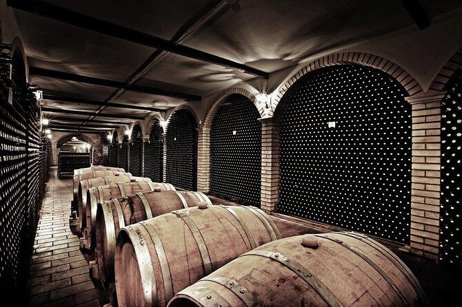 Cantine Bosco Nestore - Wine tour e Tasting - A Thorough Look at What to Expect