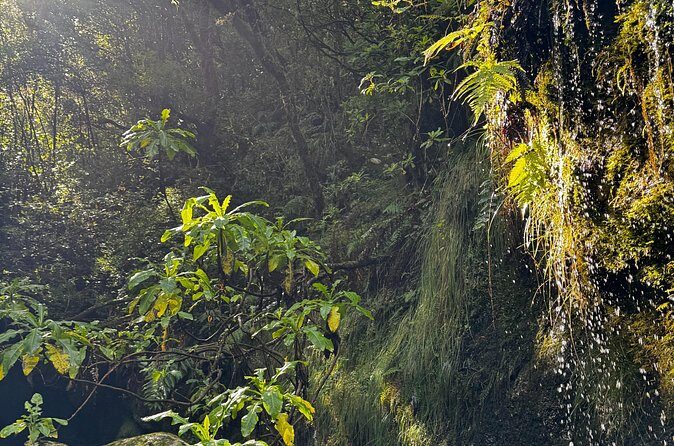 Canyoning Madeira Intermediate - Who Should Book This Tour?