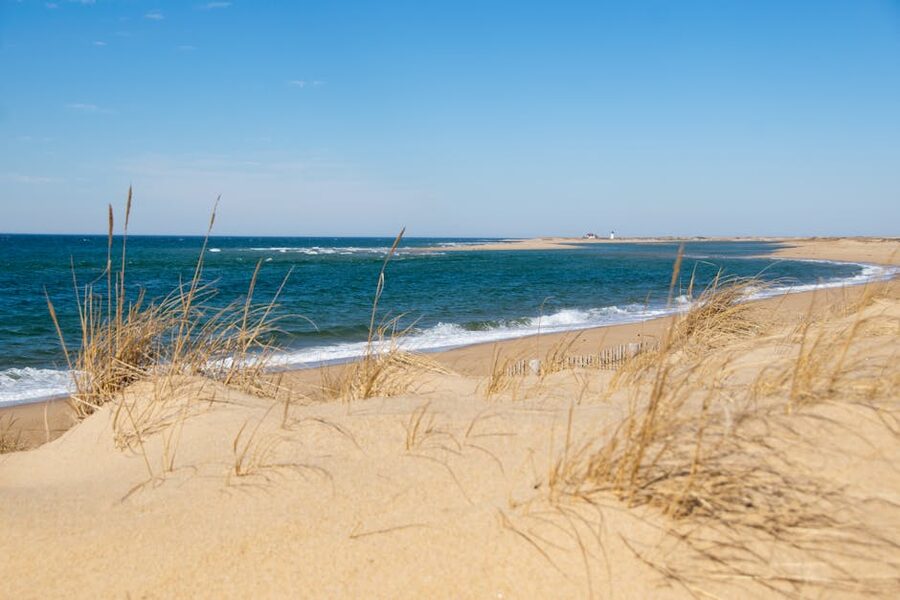 How to Book a Cape Cod Day Trip from Boston