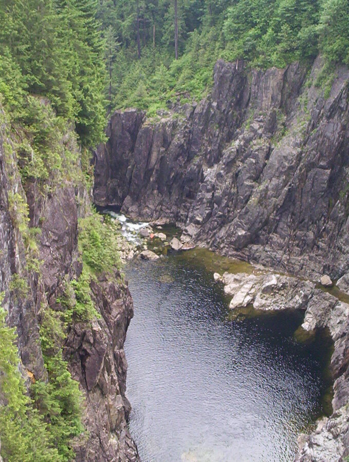 Capilano Gorge with river running through rainforest
