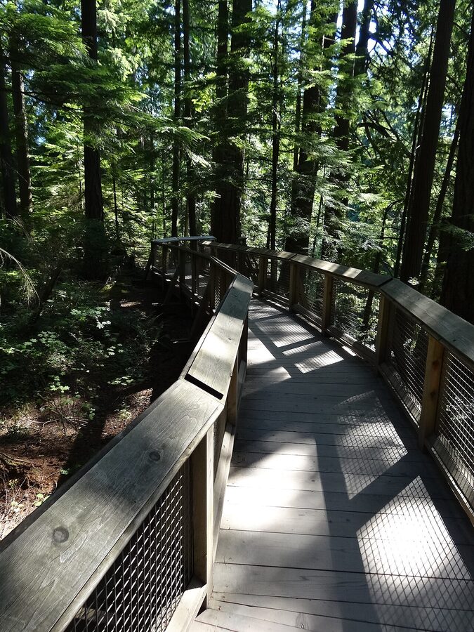 Boardwalk trail through the Capilano Suspension Bridge Park
