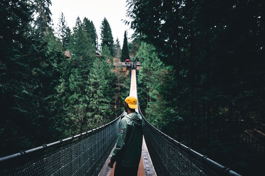 Visitor on the Capilano Suspension Bridge looking at the forest