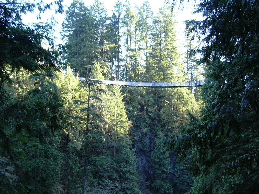 Wide view of the Capilano Suspension Bridge