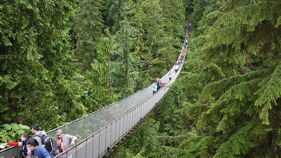 The Capilano Suspension Bridge in Vancouver