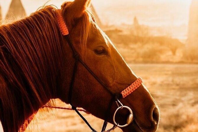 Cappadocia Horseback Riding Tour (Transfer Included) - Who Is This Tour Best For?