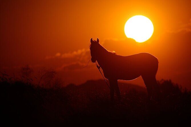 Cappadocia Horseback Riding Tour with Hotel Pickup & Helmet - The Practical Details