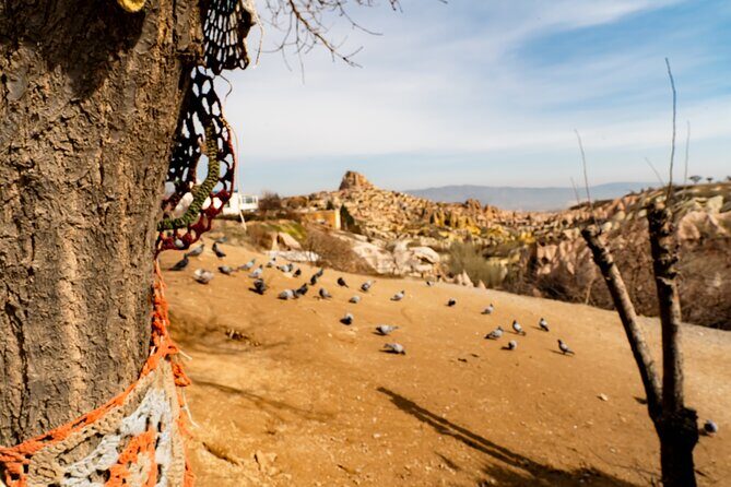Cappadocia Mix Tour With Ticket And Lunch - Practical Details
