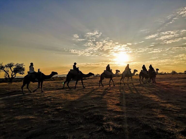 Cappadocia: Sunrise Camel Safari - Who Will Love This Experience?