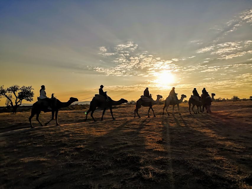 Cappadocia: Sunrise Camel Safari - Who Will Love This Experience?