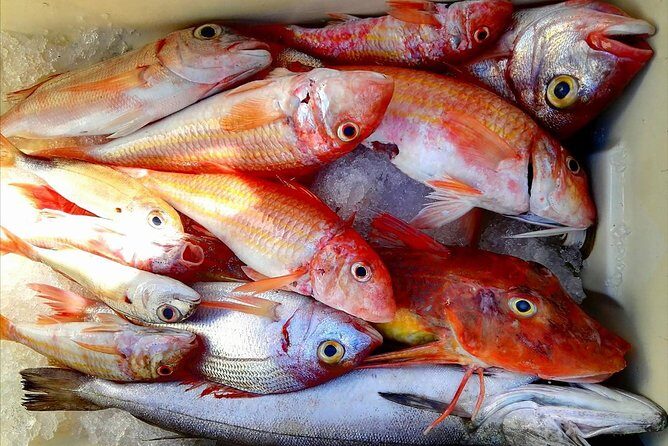 Capri Fishing Excursion with Snorkeling and Lunch from Sorrento - Pricing and Value: Is it Worth It?