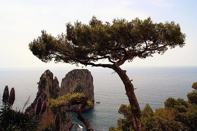 Capri Private Full Day Tour from Rome with Monte Solaro. - Final Thoughts: Is It Worth It?