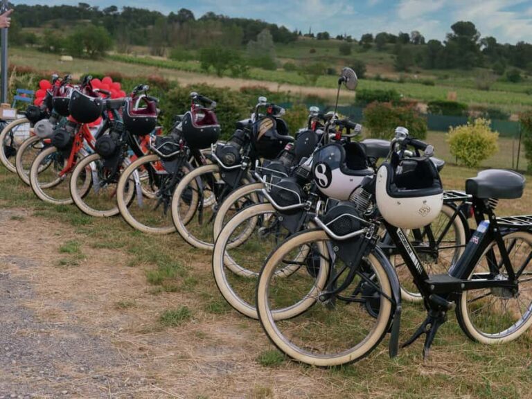 Carcassonne: Solex tour with guide and wine tasting - Exploring the Route and What You Can Expect