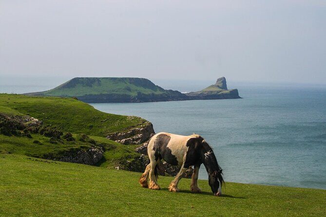 Cardiff: Gower Peninsula's Cliffs Scenic Day Tour - Final Verdict