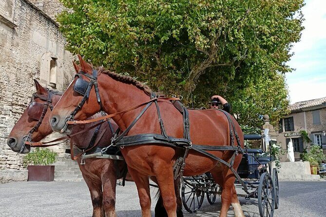 Carriage rides in the heart of the Luberon - Who Will Love This Tour?