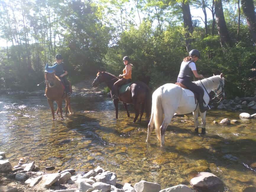 Casentino: Horseback Riding Tour with Verna Sanctuary View - Who Is This Tour Best For?