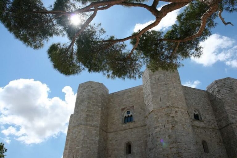 Castel del Monte Tour with transfer from Trani - The Value of the Tour