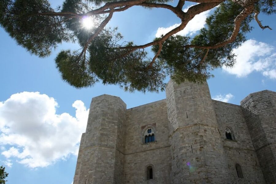 Castel del Monte Tour with transfer from Trani - The Value of the Tour