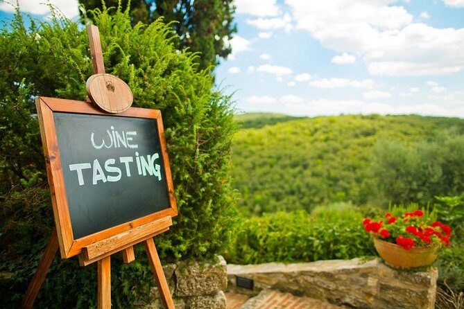 Castles & Chianti Wine Experience Small Group from San Gimignano - The Guide’s Role