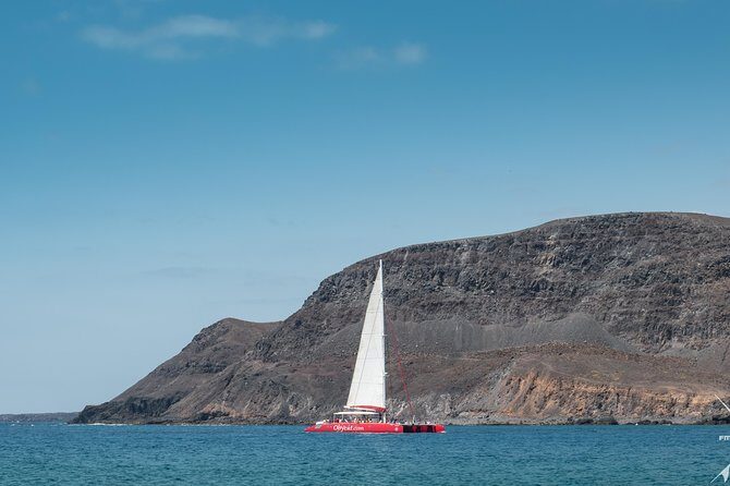 Catamaran Half-Day Cruise from Caleta de Fuste - FAQ