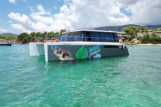 Catamaran Mallorca Eco Experience - The Sum Up