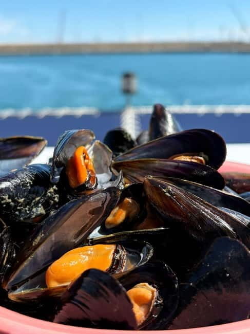Catamaran trip and visit to the mussel nurseries with a snack - What’s Included and What to Expect