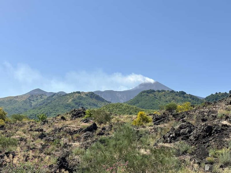 Catania: Etna Tour with licensed Tour Guide pickup & drop-of - Practical Details: Transportation, Duration, and Value