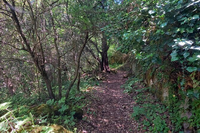 Cavagrande hiking tour - Who Should Book This Tour?