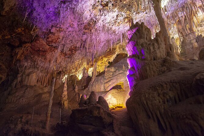 Caves Drach Boat Trip from Alcudia with Return Bus and Tickets - What Travelers Actually Say