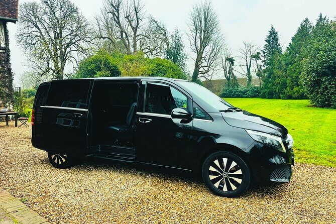 CDG Euro Disney Private Shuttle Transfer - Detailed Breakdown of the Experience