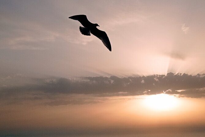 Cefalú Boat Tour with aperitif at sunset - FAQ