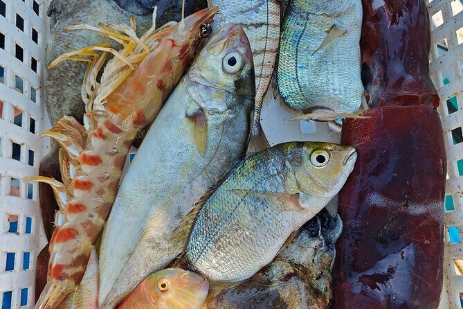 Cefalu: Boat Trip with Fishing, Coastal Tour and Lunch on Board - Why This Tour Works Well