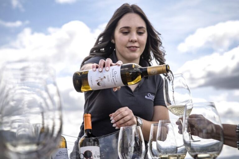 Celorico De Basto: Quinta de Santa Cristina Winery Tour - Who Will Love This Tour?