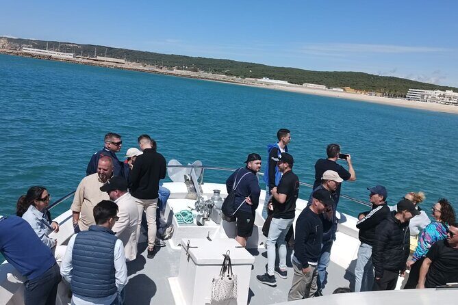 Cetacean Watching Tour - Value and Cost Analysis